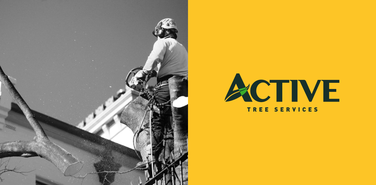 What We Do - Active Green Services - Arboriculture Consulting