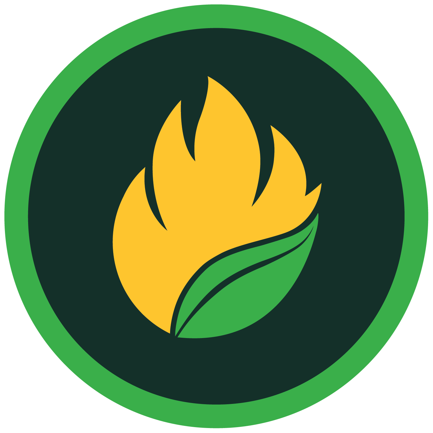 What We Do - Active Green Services - Arboriculture Consulting