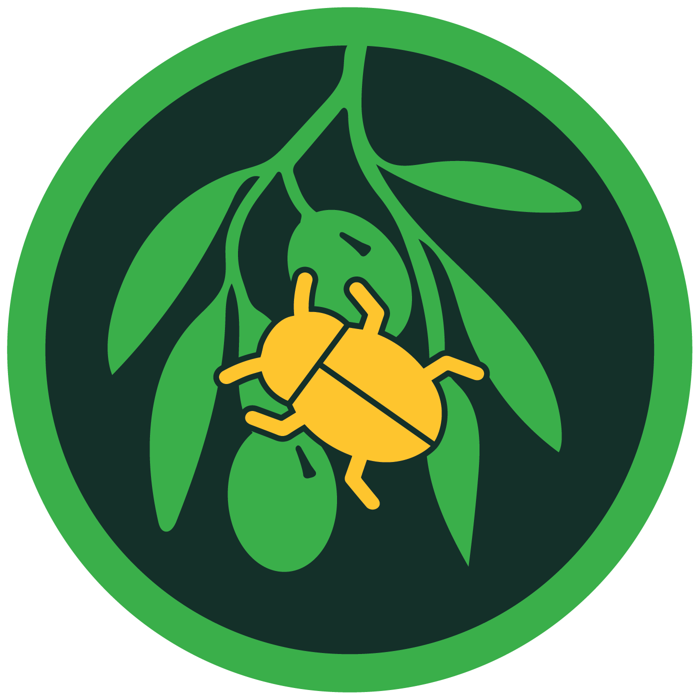 What We Do - Active Green Services - Arboriculture Consulting