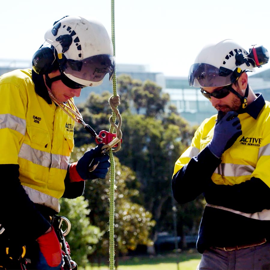 Benefits Active Green Services