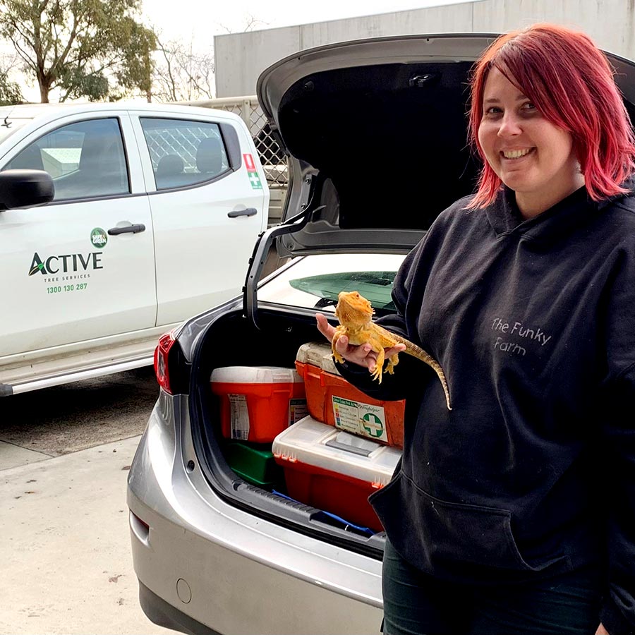 Benefits Active Green Services